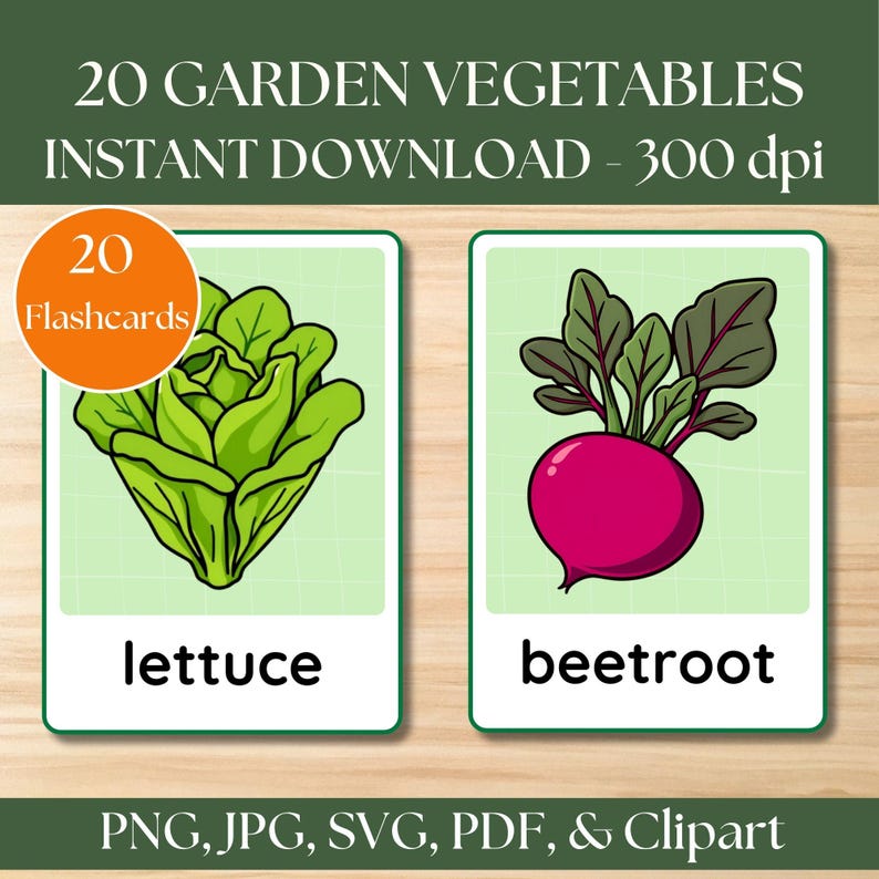 Garden Vegetables Flashcards & Clipart Set for Kids, Montessori ...