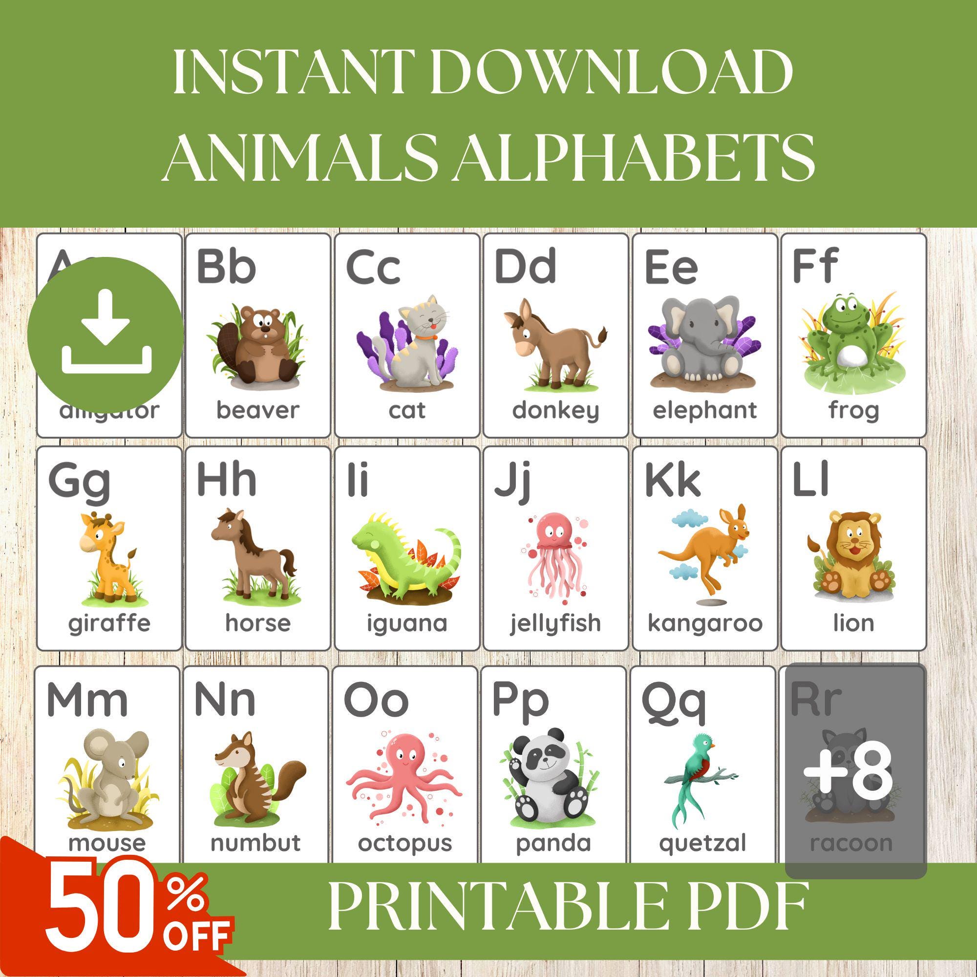 Animal Alphabets, Alphabets Letters, Printable Montessori, Flashcards ...