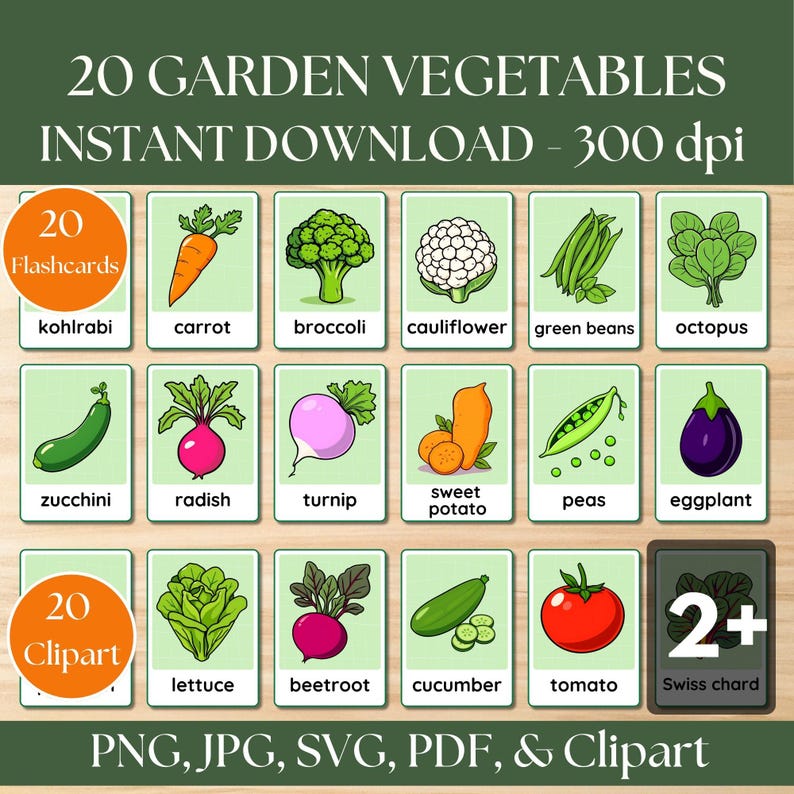 Garden Vegetables Flashcards & Clipart Set for Kids, Montessori ...