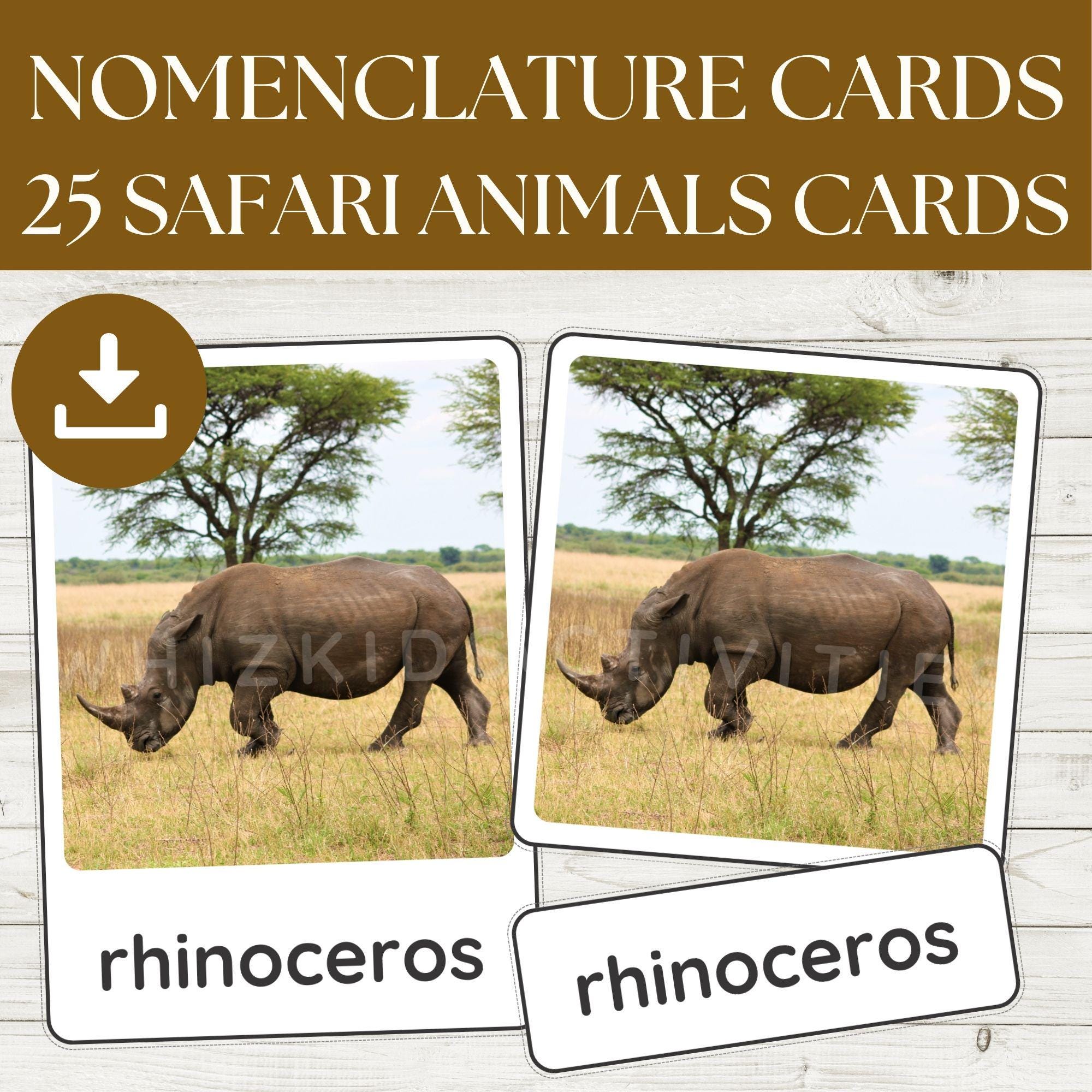 25 Safari Animal Montessori Flashcards & Chart, Three-part Nomenclature ...