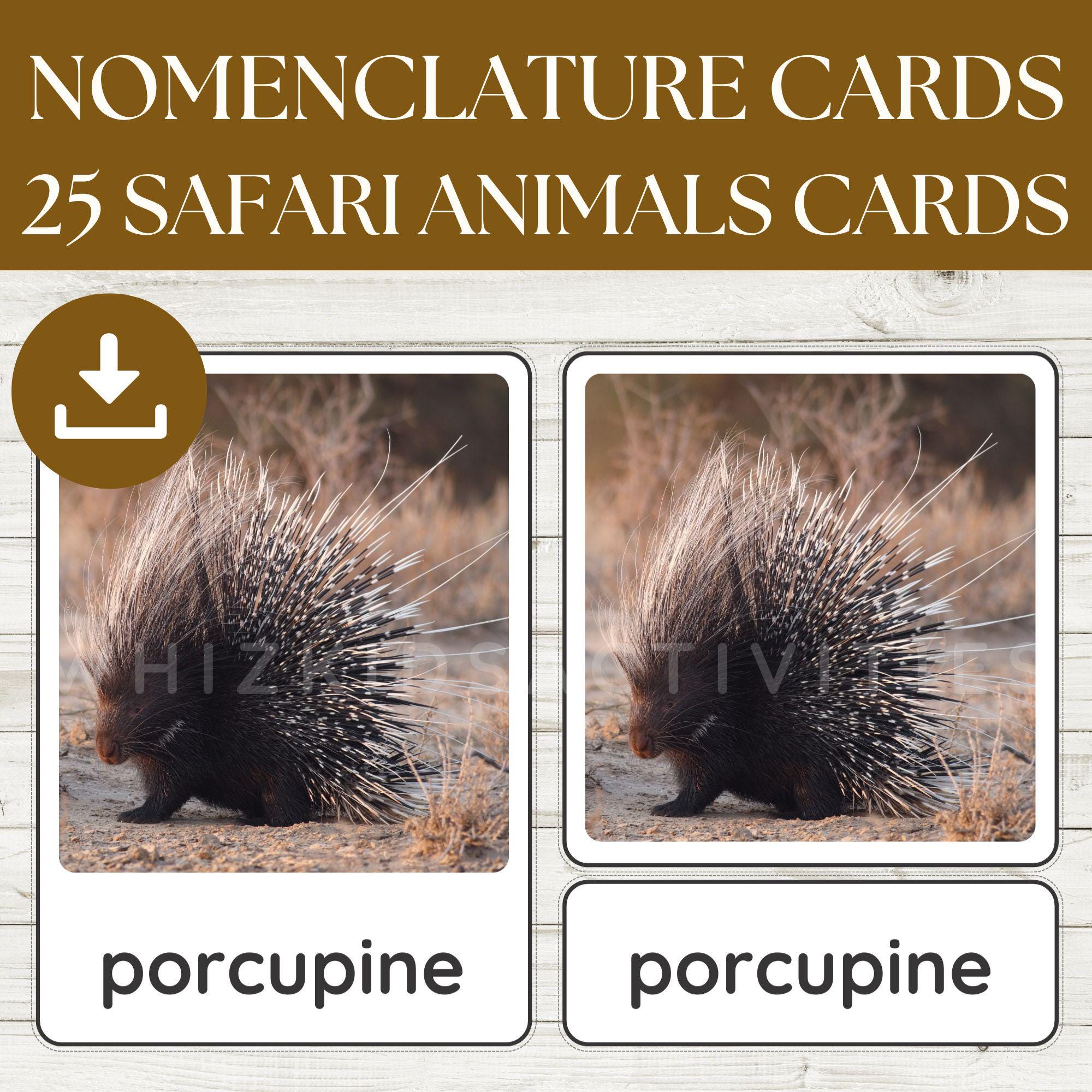 25 Safari Animal Montessori Flashcards & Chart, Three-part Nomenclature ...