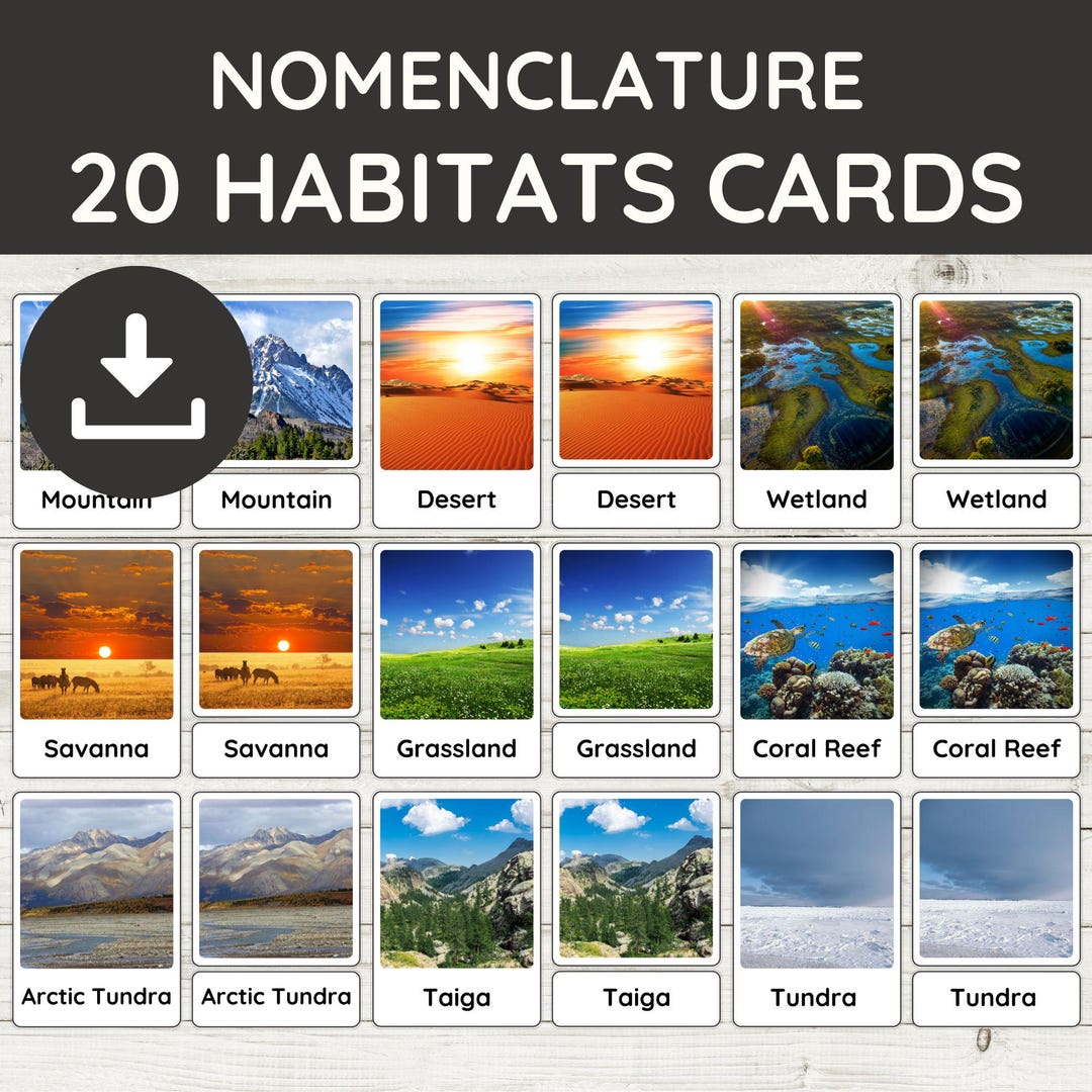 20 HABITATS FLASHCARDS Real Pictures, Montessori-inspired Geography ...
