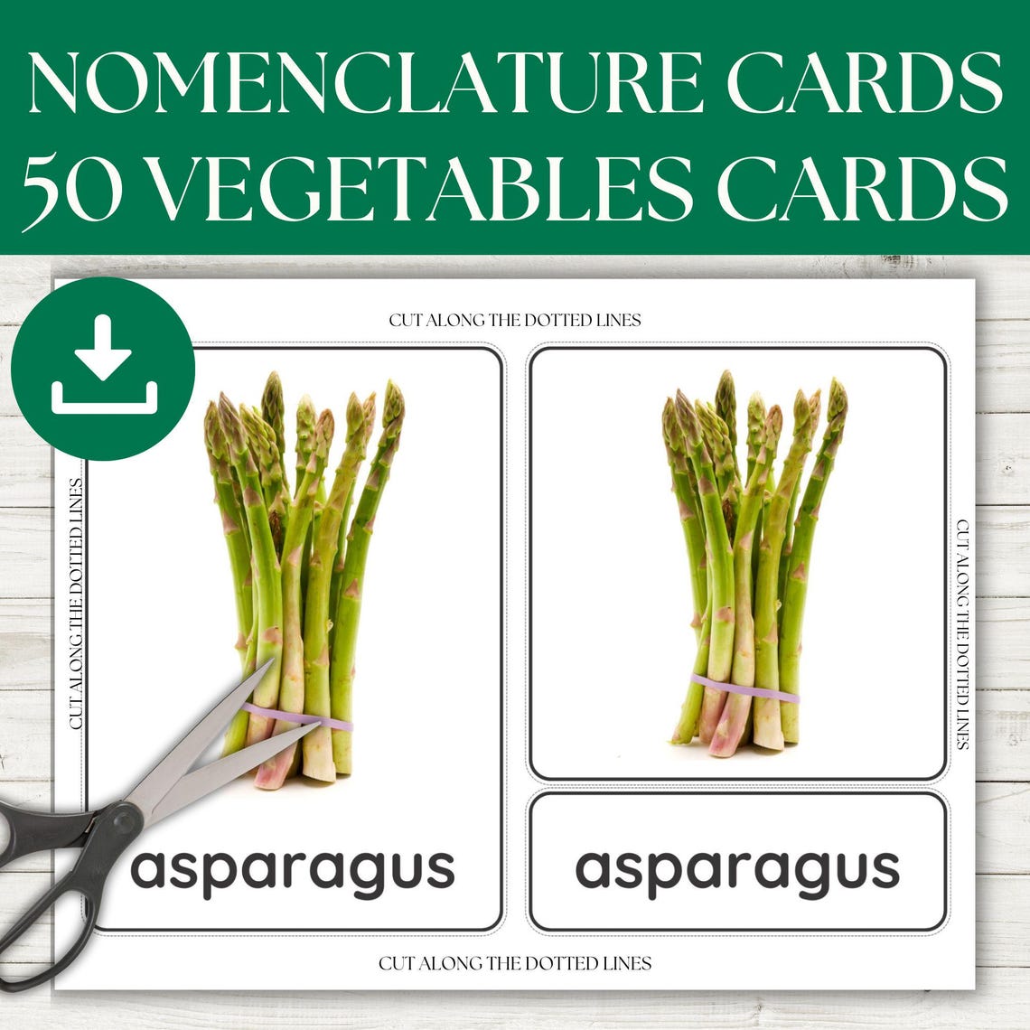 50 Montessori Vegetable Flashcards With Real Photos Printable 3-part ...