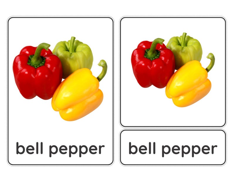 50 Montessori Vegetable Flashcards With Real Photos Printable 3-part ...