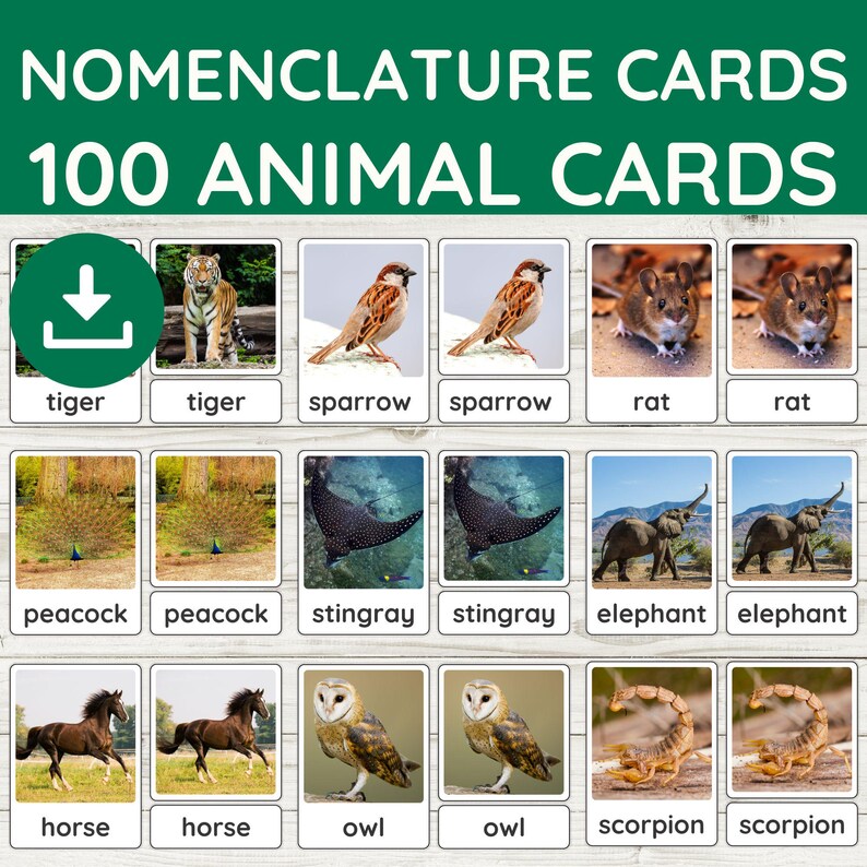 100 Most Common Animals Flashcards | Montessori Nomenclature Cards ...