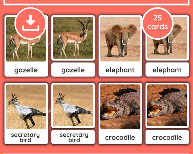 32 Wild Animals Flashcards, African Animals, Kids Cards, Nomenclature ...