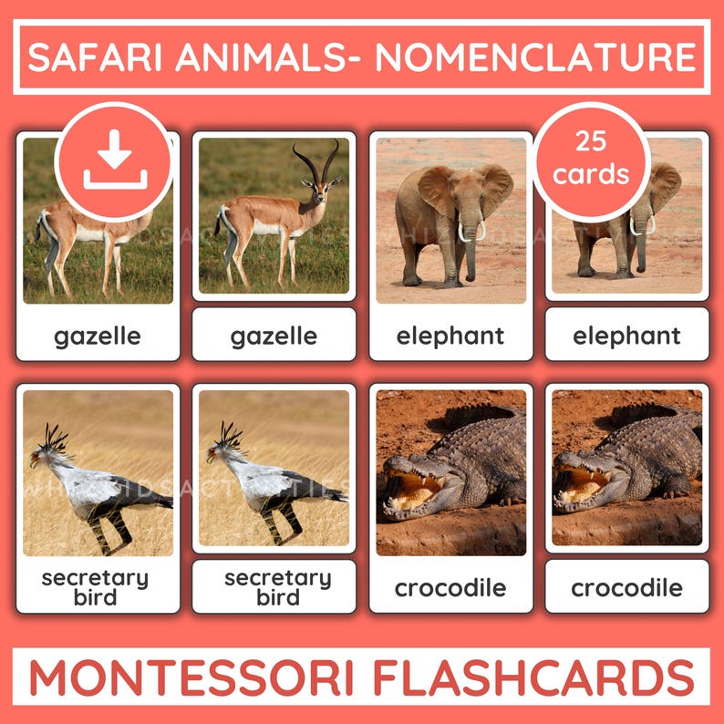 Montessori Safari Animal Flashcards: Real Photo Nomenclature Cards (PDF ...