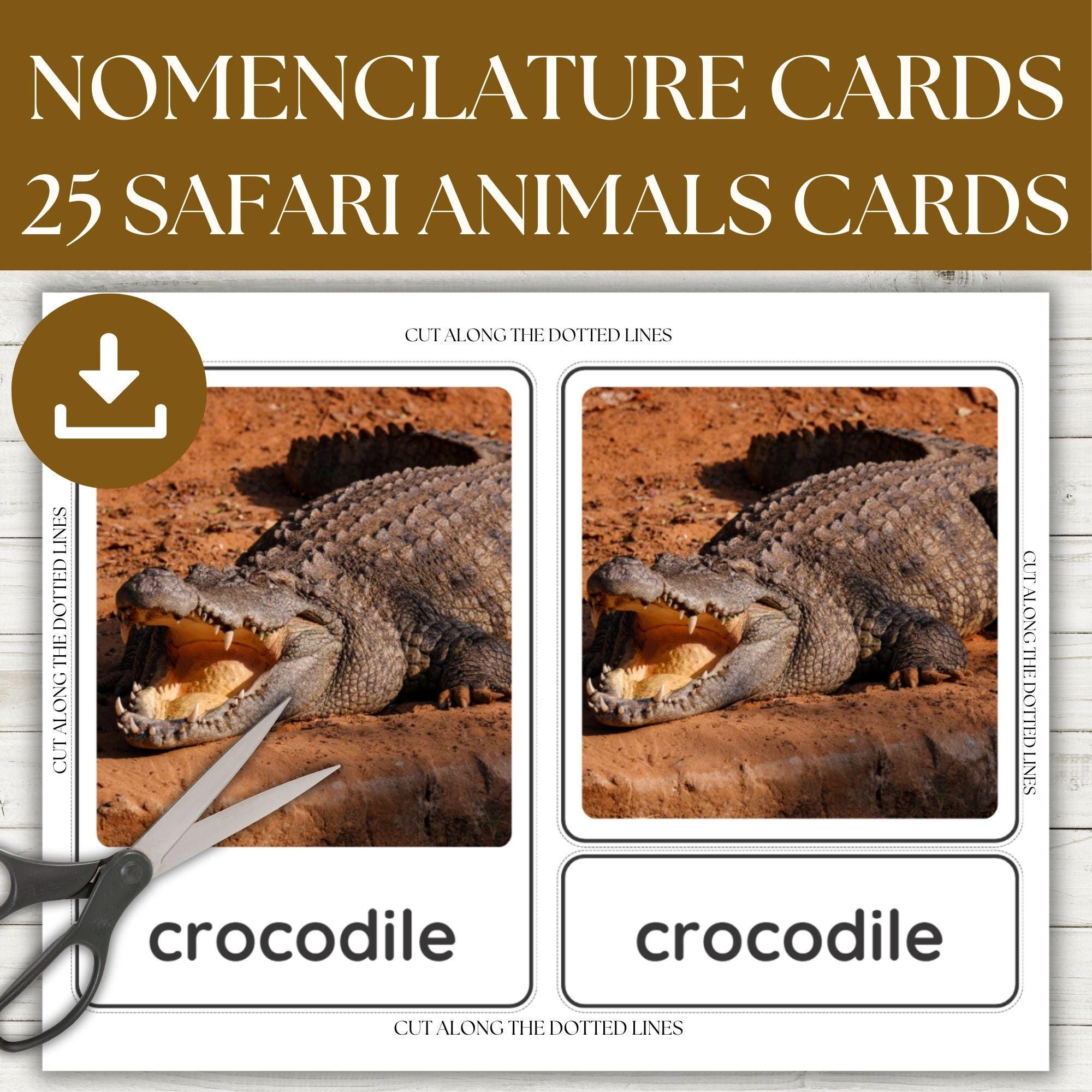 25 Safari Animal Montessori Flashcards & Chart, Three-part Nomenclature ...
