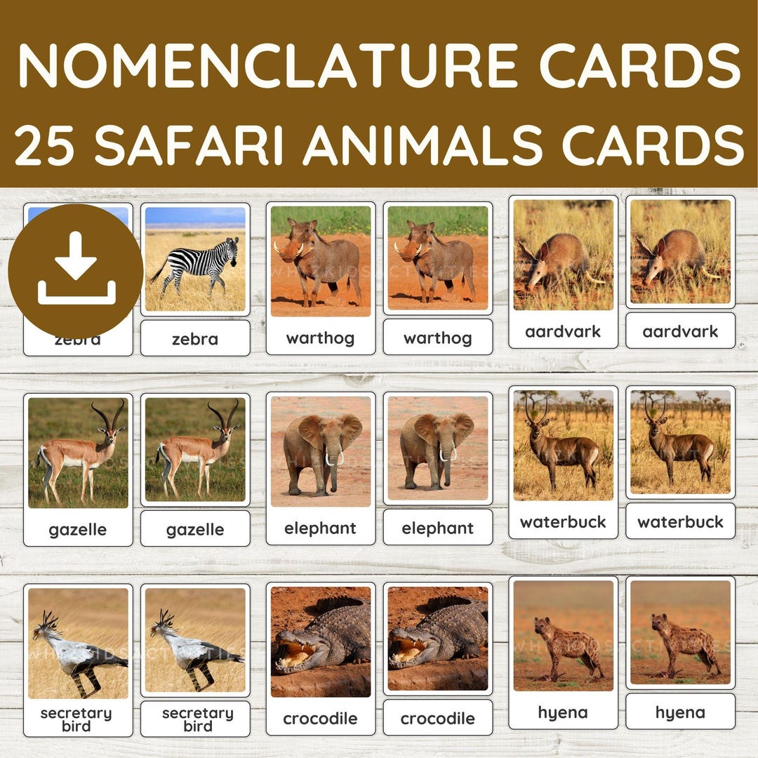 25 Safari Animal Montessori Flashcards & Chart, Three-part Nomenclature ...