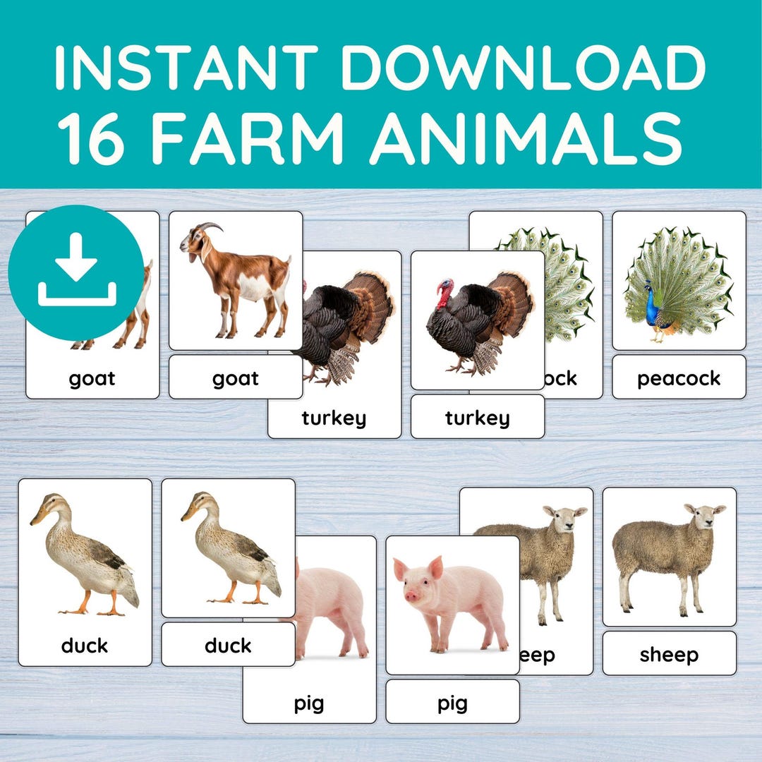 16 Farm Animal Montessori Flashcards | Three-part Nomenclature Cards ...