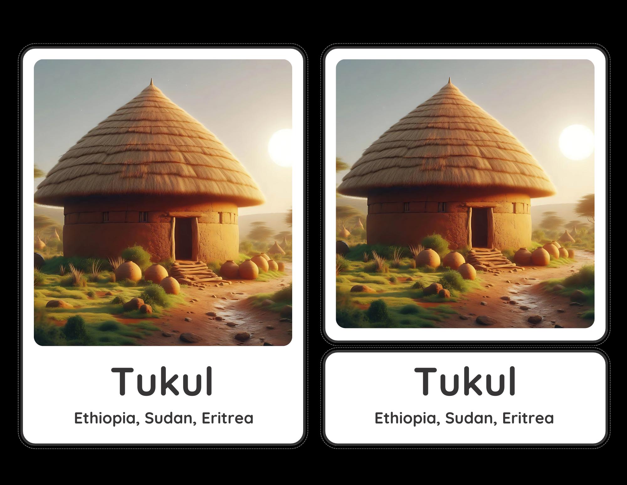 World Homes Flashcards: Montessori Geography Cards for Kids (PDF ...