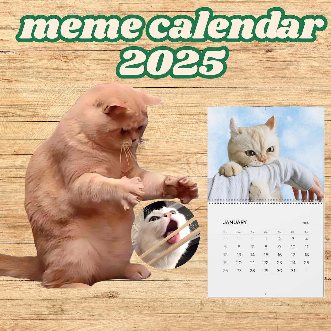 Funny Meme Cat 2025 Wall Calendar - Cat Lover Gift, 2025 Calendar ...