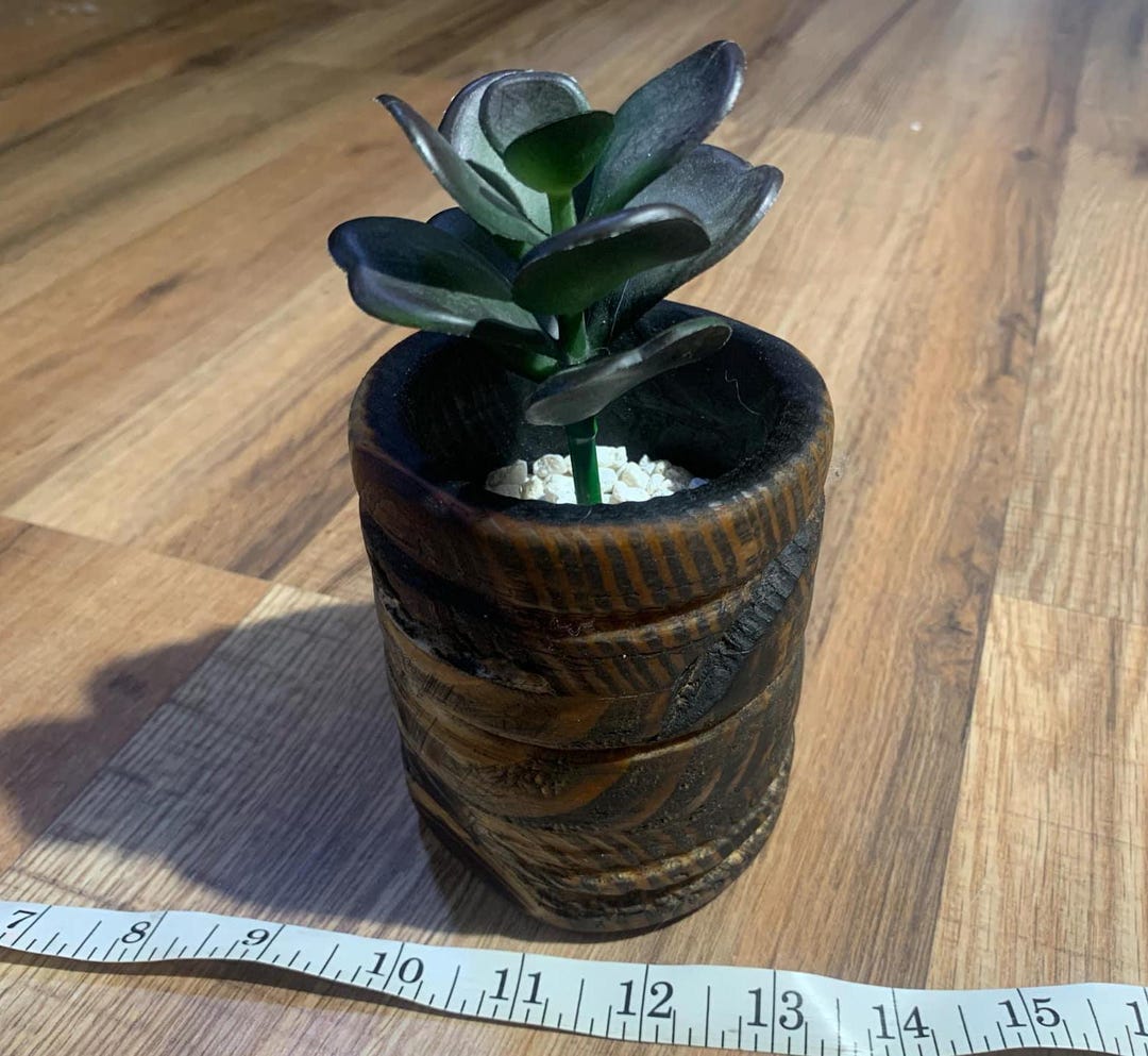Pine-char Live Edge Planter - Succulents, Herbs, ETC.. - Etsy