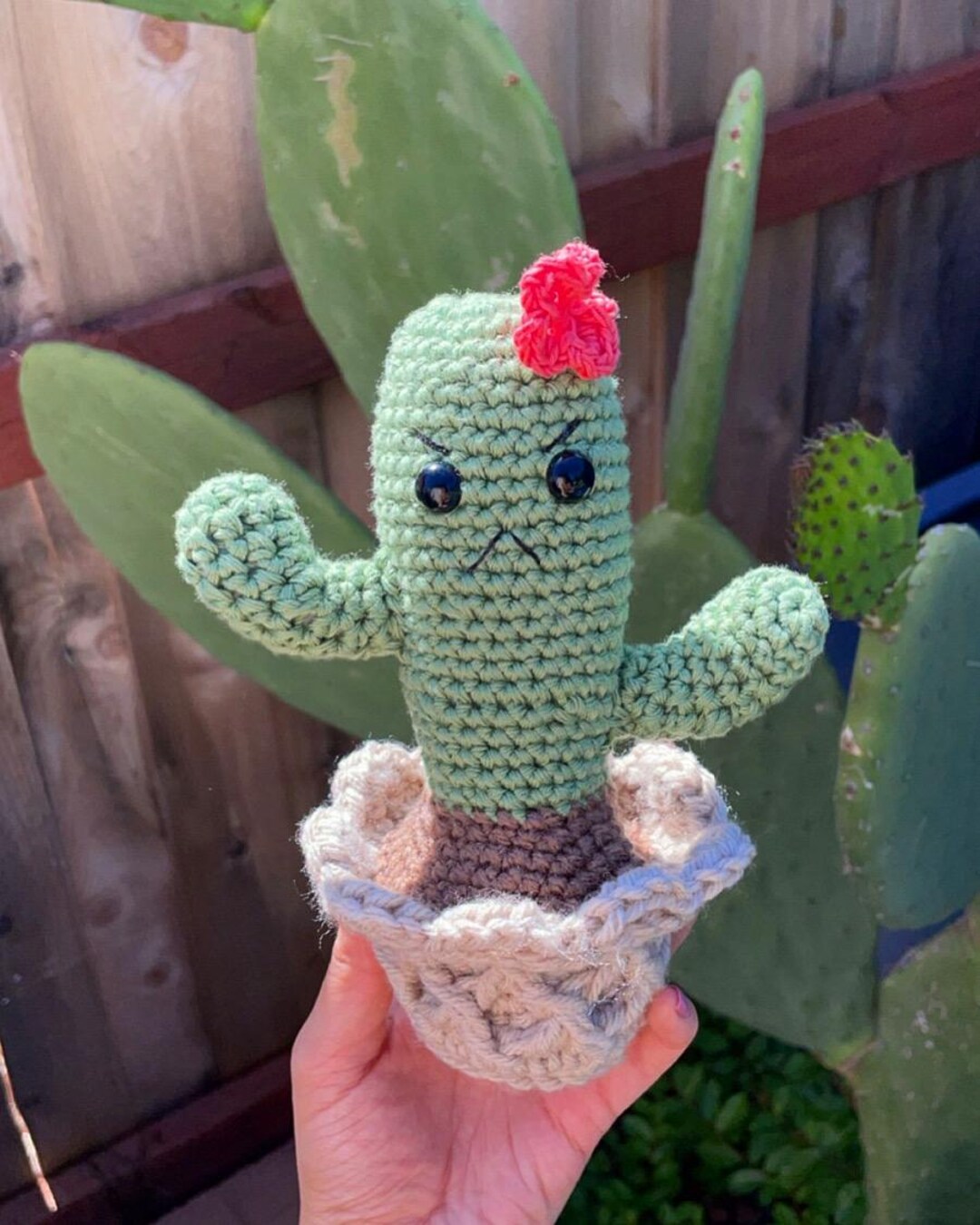 Crocheted Cranky Cactus Pattern - PDF - Digital Download - Amigurumi ...