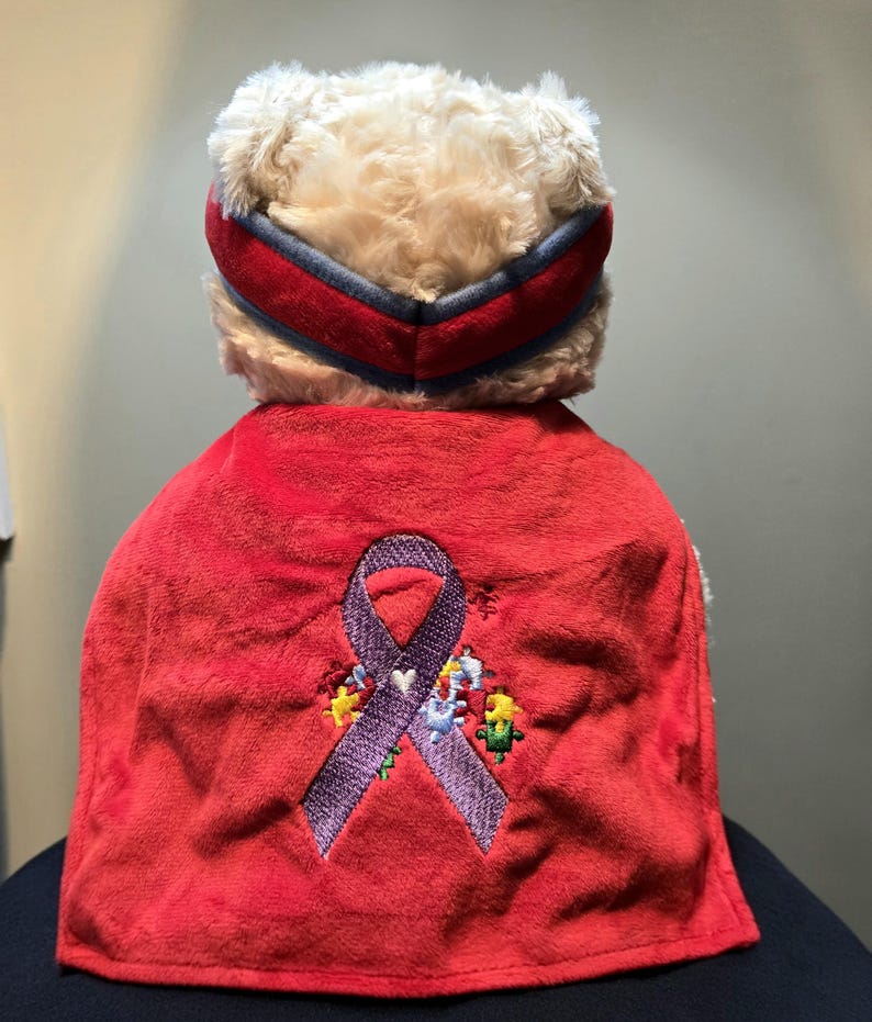 Personalized Super Hero Bear: Embroidered Hero Stuffed Animal - Etsy