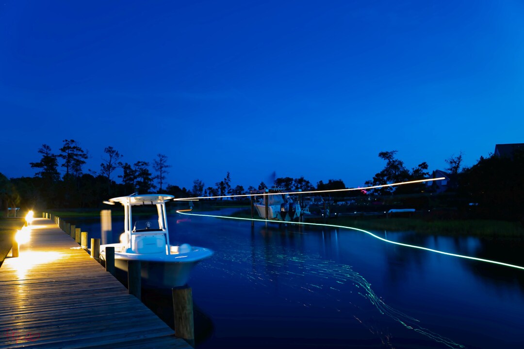 Fun With Light- Light in Motion Adds a Little Levity or Spark to Any ...