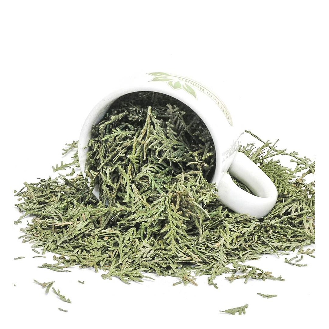 20% FREE Herbal Remedy THUJA Leaf Tea 4oz 113g Pesticide-free Thuja ...