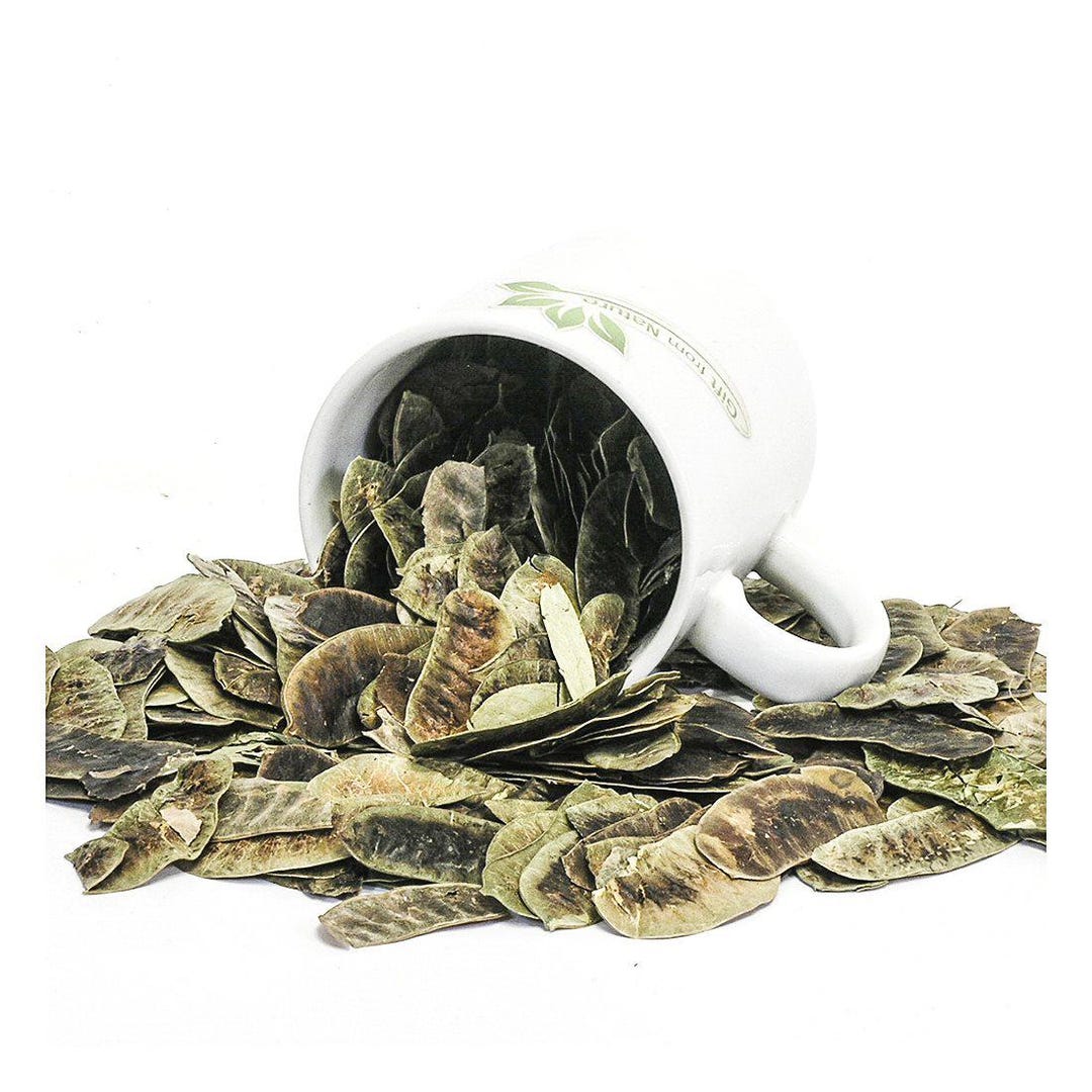 20% FREE Spiritual Herb SENNA Pods Tea 1oz 28g Herbal Remedy Cassia ...