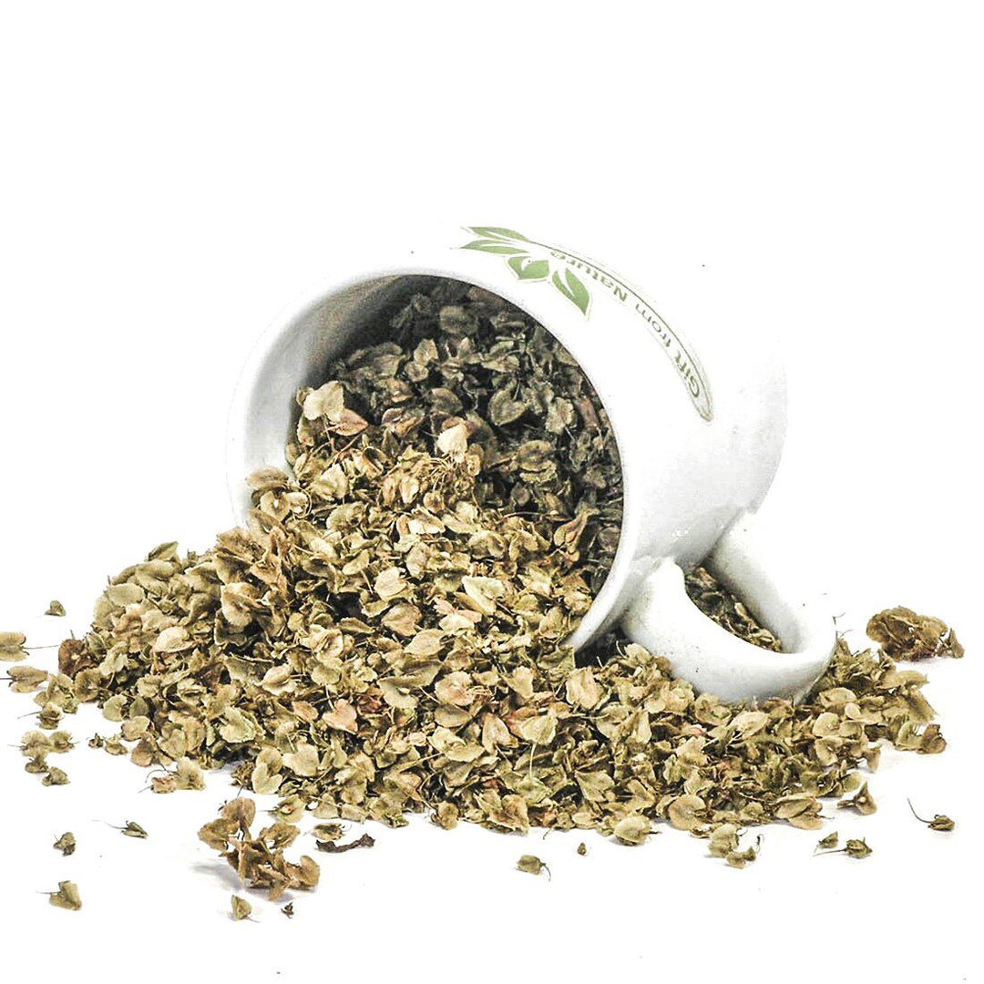 15% FREE PATIENCE DOCK Seeds 1lb 454g Organic Rumex Patientia , Natural ...