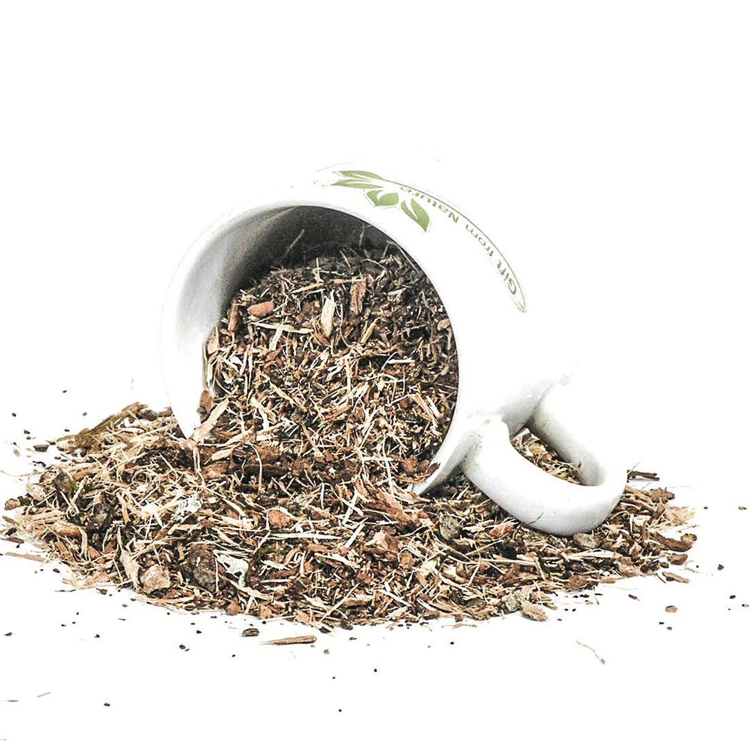 OAK Bark Tea Organic Quercus Robur , Organic Herbal Tea , Natural Loose ...