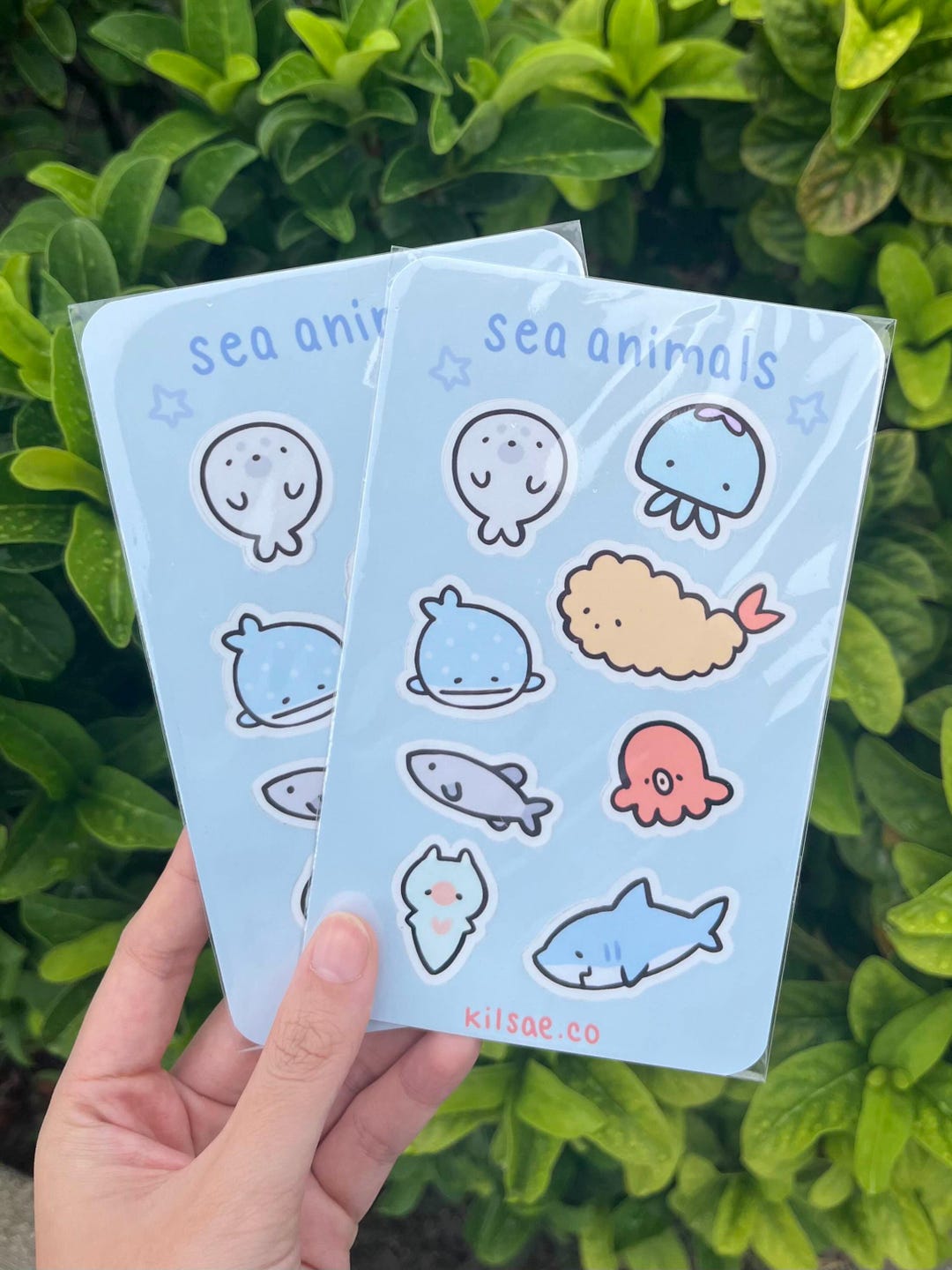 Sea Animals Sticker Sheet - Etsy