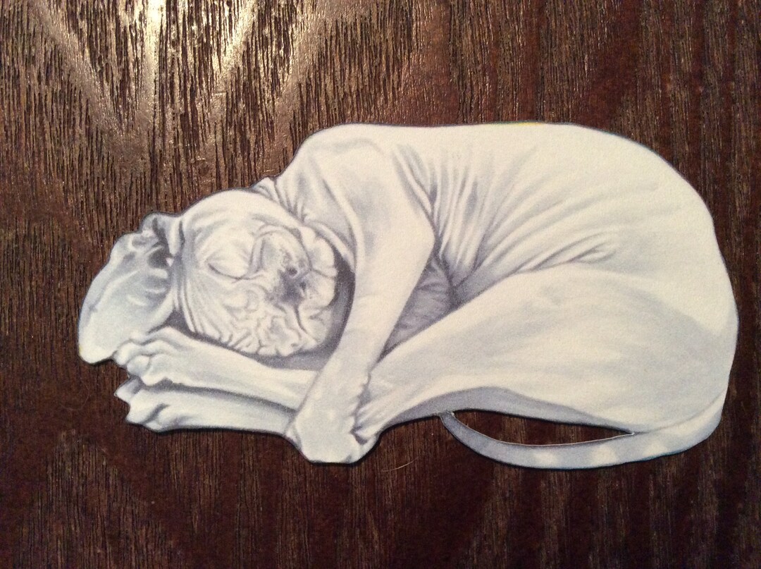 Naked Hairless Sphynx Cat Hugging Legs Sticker - Etsy