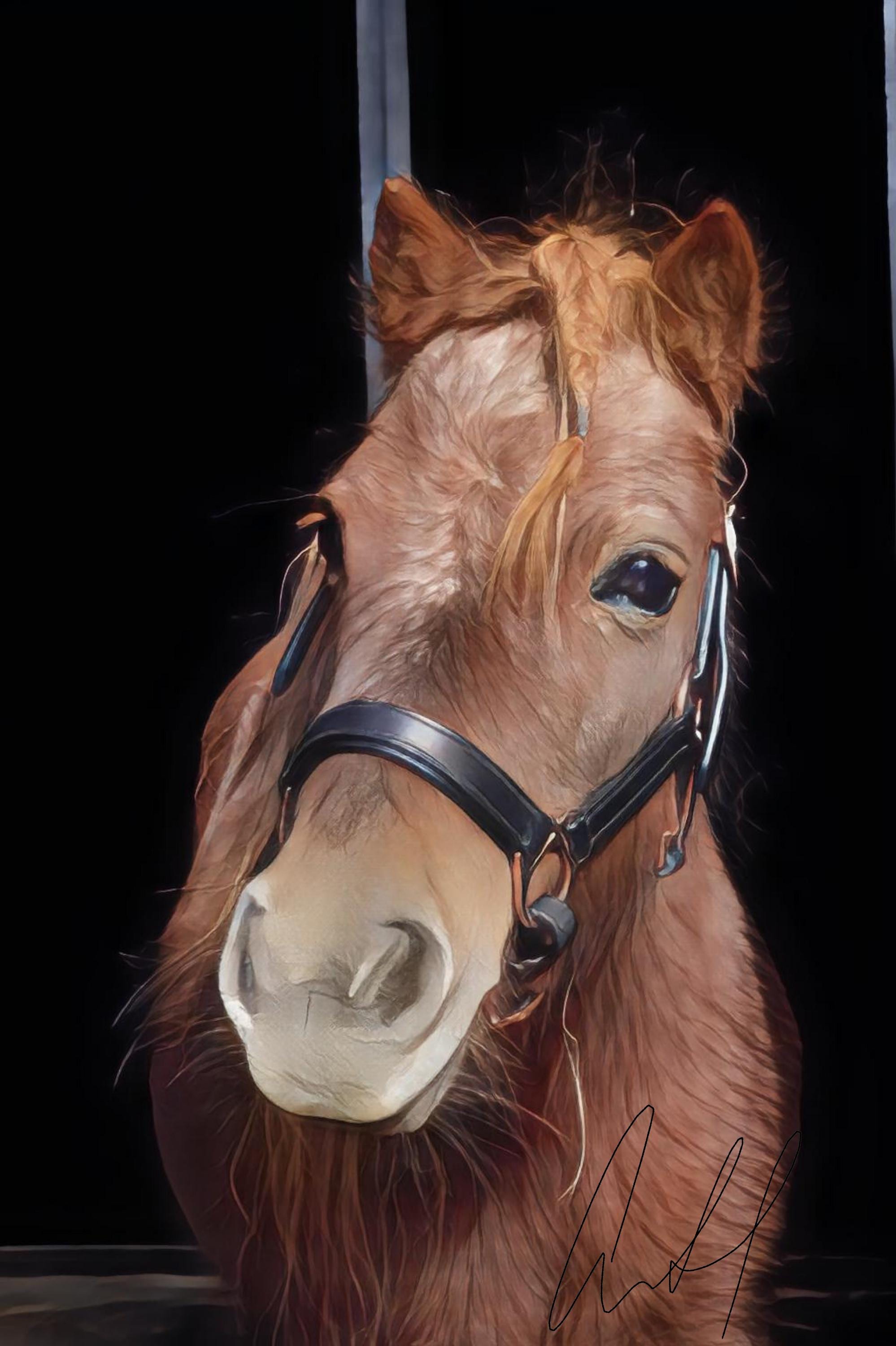 Pony Posters for Equestrian Kids - Etsy