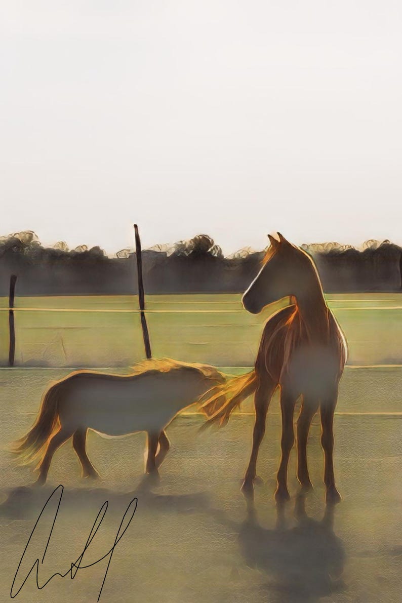 Pony Posters for Equestrian Kids - Etsy