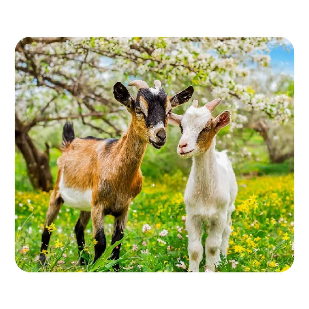 Cute Farm Goats in Beautiful Grass and Flowers Spring Bloom | Fabric ...