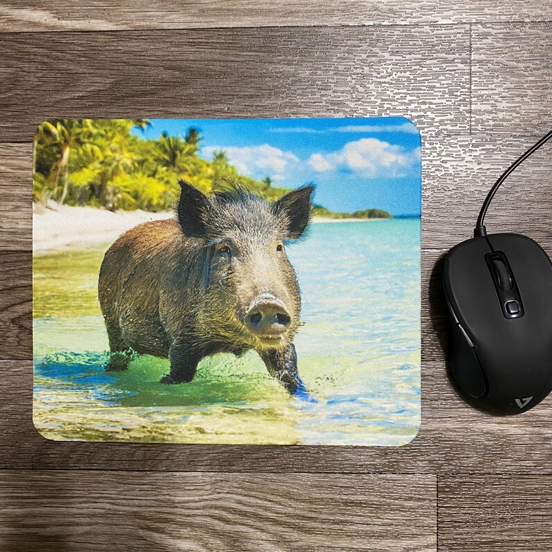 Wild Hog Boar Taking A Swim on A Tropical Island Like Its on Vacation ...