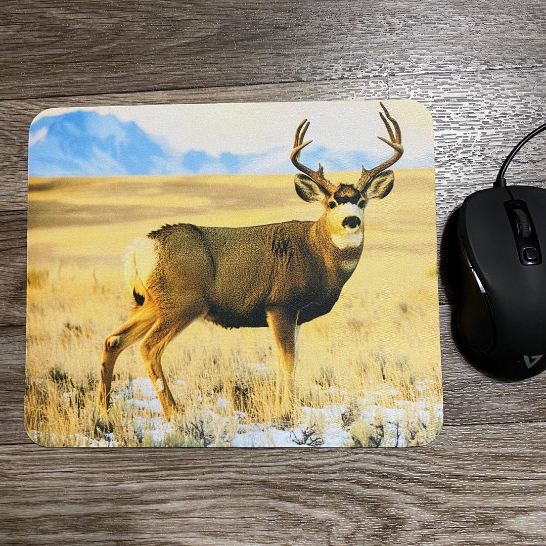 Wyoming Mule Deer Colorado Hunting White Tail America Wildlife Stag ...