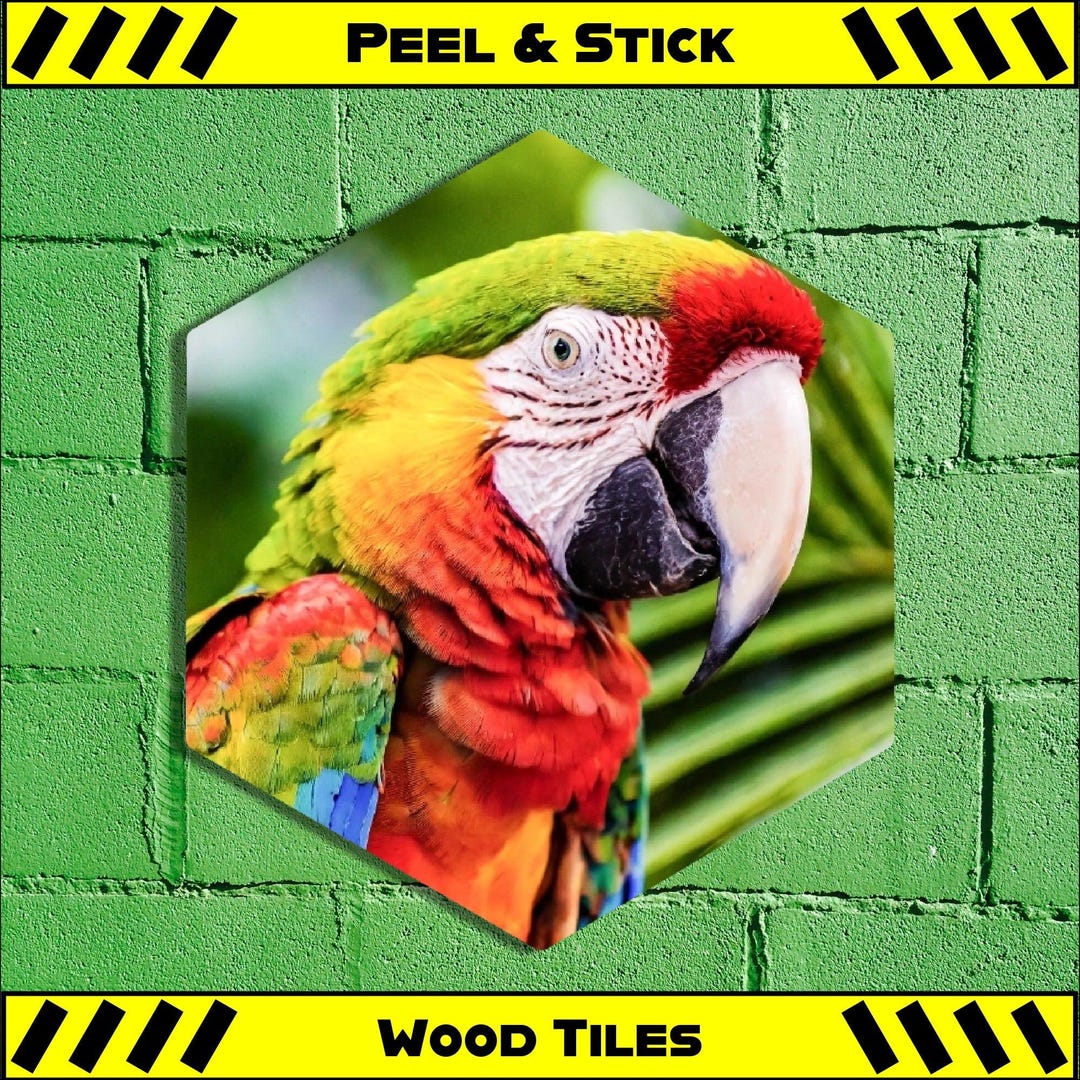 Parrot Belize peel & Stick Hexagon Wood Tile 8 X 9 X .25 Thick Wood ...