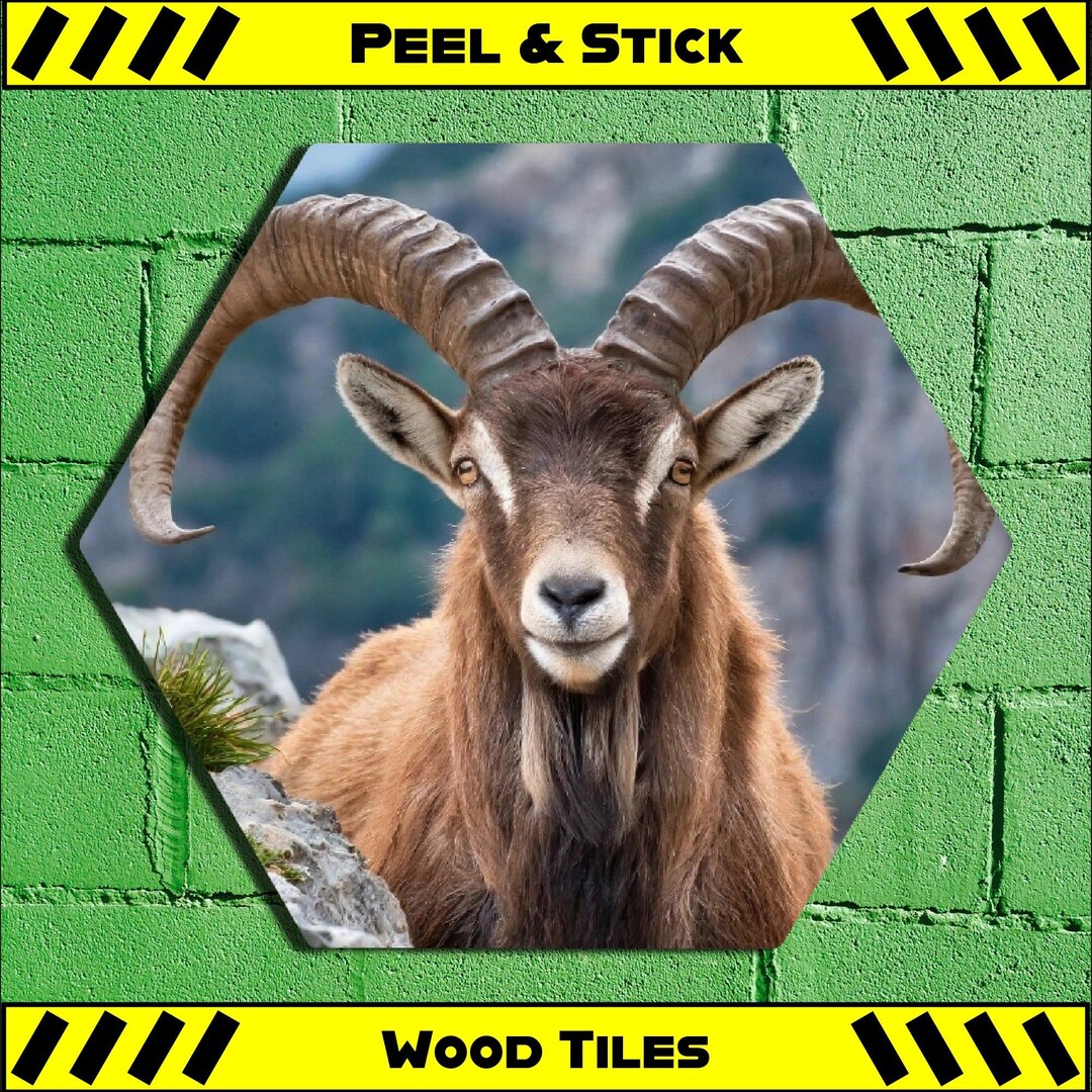 Ibex Goat peel & Stick Hexagon Wood Tile 8 X 9 X .25 Thick Wood Tile ...