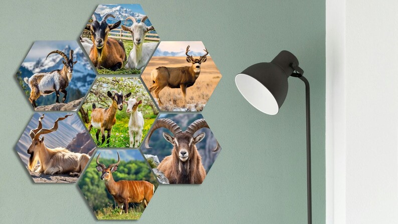 Mount Fuji peel & Stick Hexagon Wood Tile 8 X 9 X .25 Thick Wood Tile ...