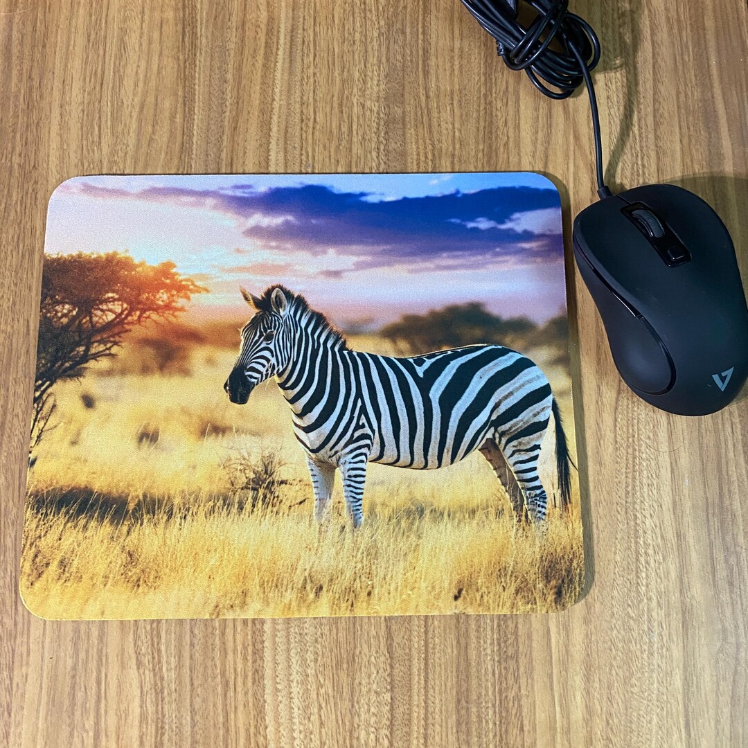 Zebra African Savanna Serengeti National Park Acacia Tree Equestrian ...