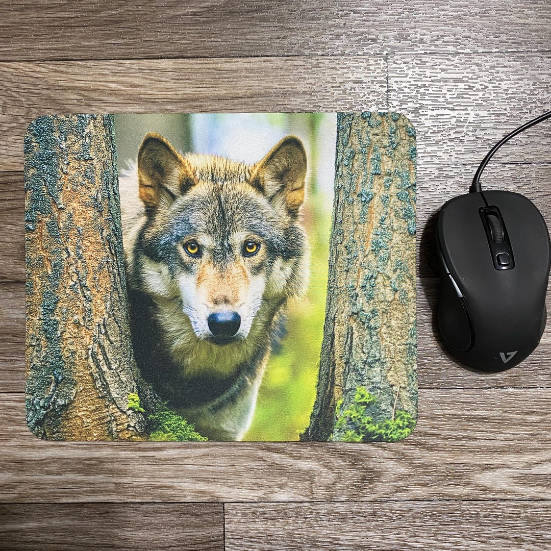 Wolf Woods Forest Wolves Alpha Dog Husky Wild Dog Canine Lone Wolf Dog ...