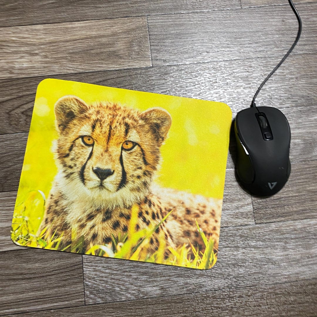 Cheetah (2014) by Ronda Gregorio. Original From Smithsonian's National ...