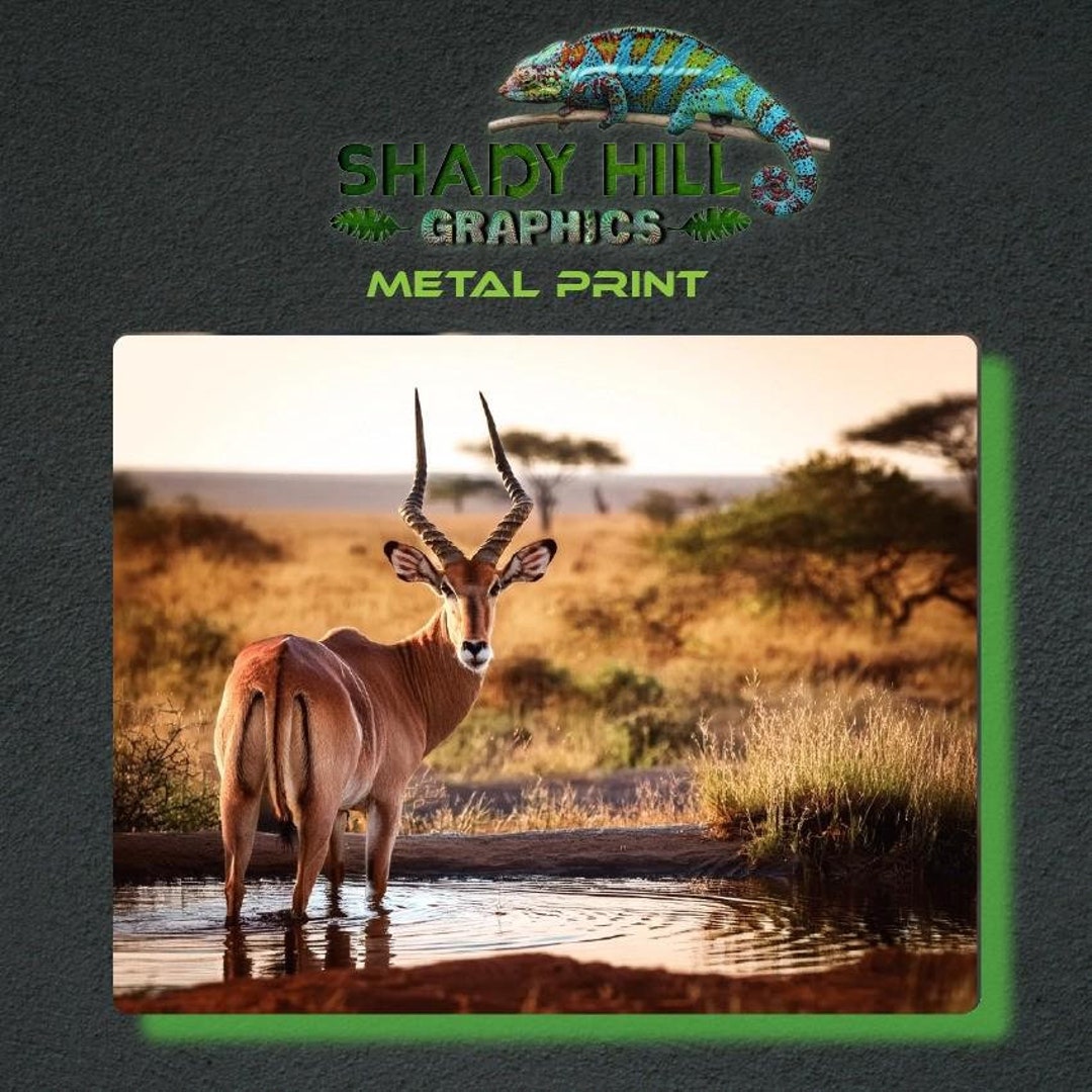 Antelope - Metal Print (includes Wall Mount) | Ai Image | Wall Art ...