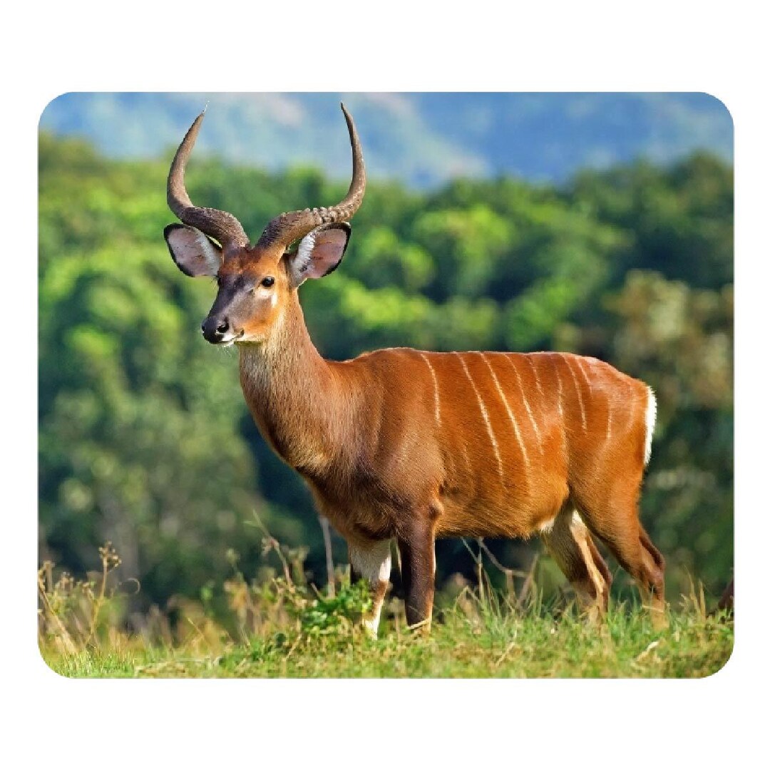Bongo Deer Unique Mythical Creature | Fabric Mouse Pad - Etsy