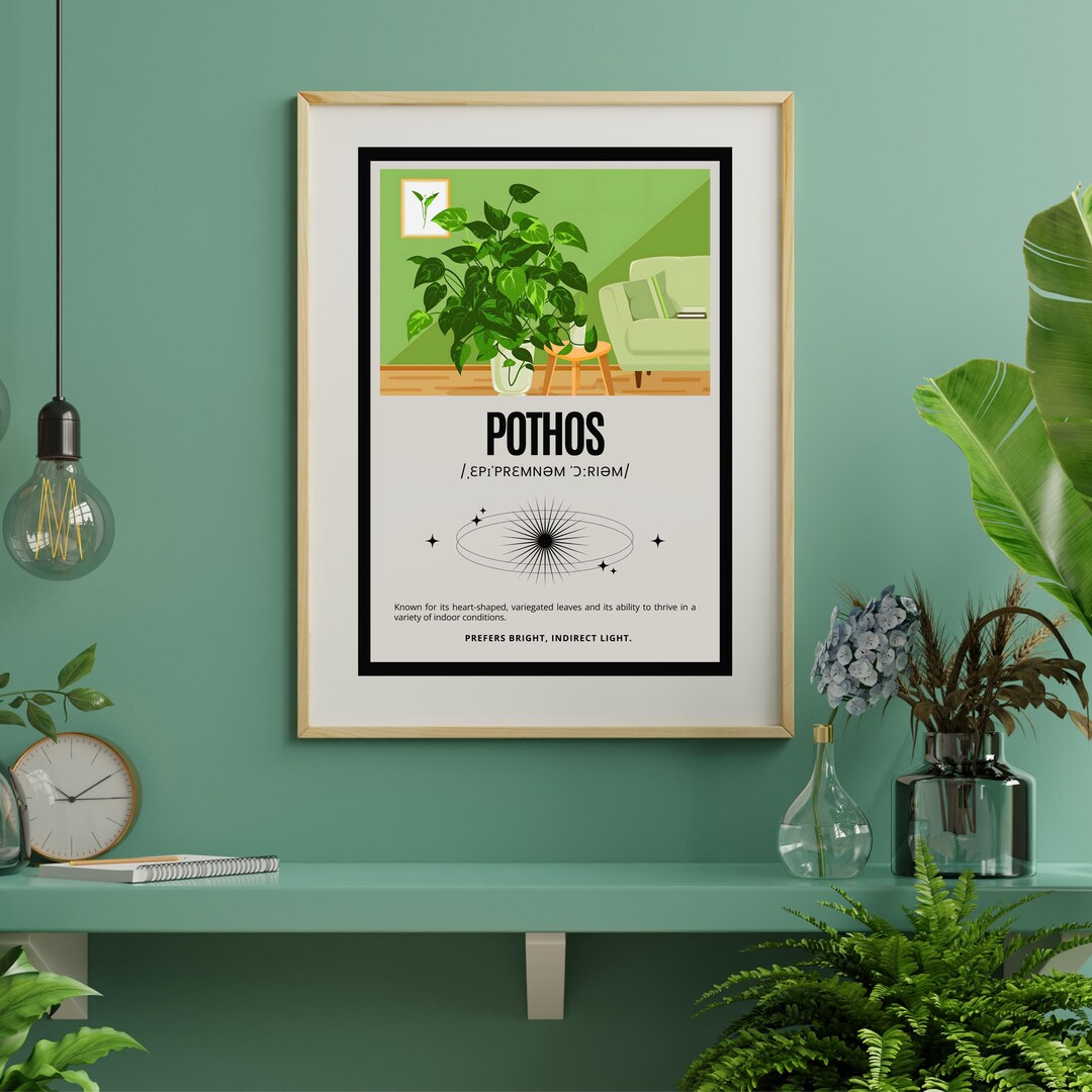 Pothos Poster Home Plant Lovers of Botanical Plant Wall Art for Home ...