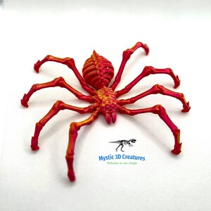 Articulated 3D Printed Jumping Spider Figure That Curls up Custom Desk ...