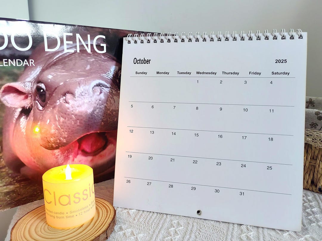2025 Moo Deng Hippo Calendar New Year's Gift, Wall Decoration,desktop ...