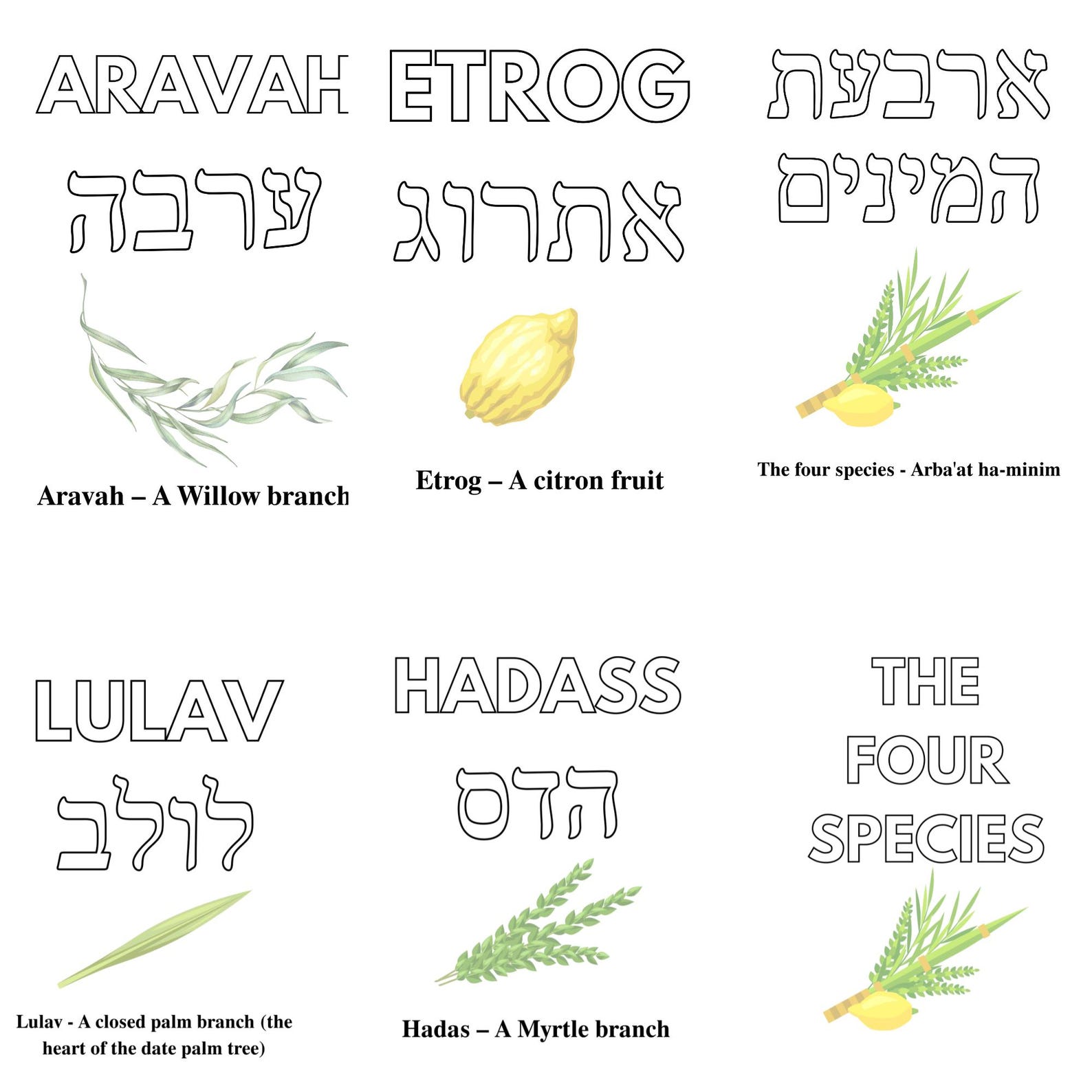 9 Sukkot Hebrew Coloring Pages Sukkot Activities for Kids Sukkot Crafts ...