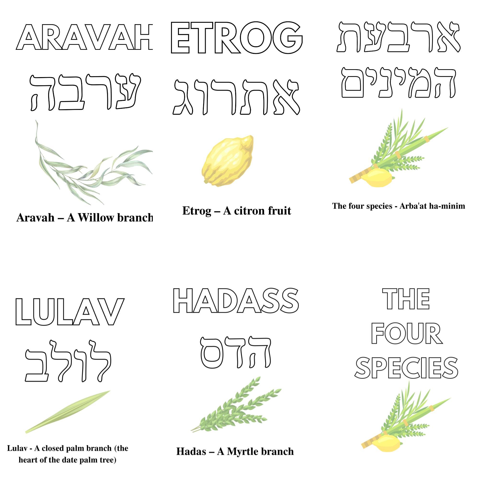 9 Sukkot Hebrew Coloring Pages Sukkot Activities for Kids Sukkot Crafts ...