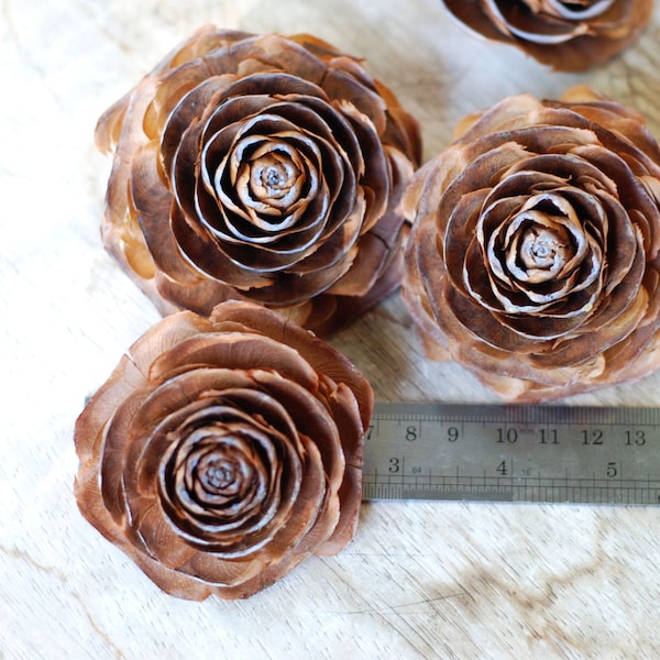 Cedar Rose - Etsy