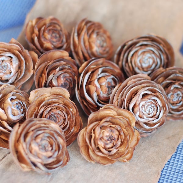 Cedar Roses - Etsy