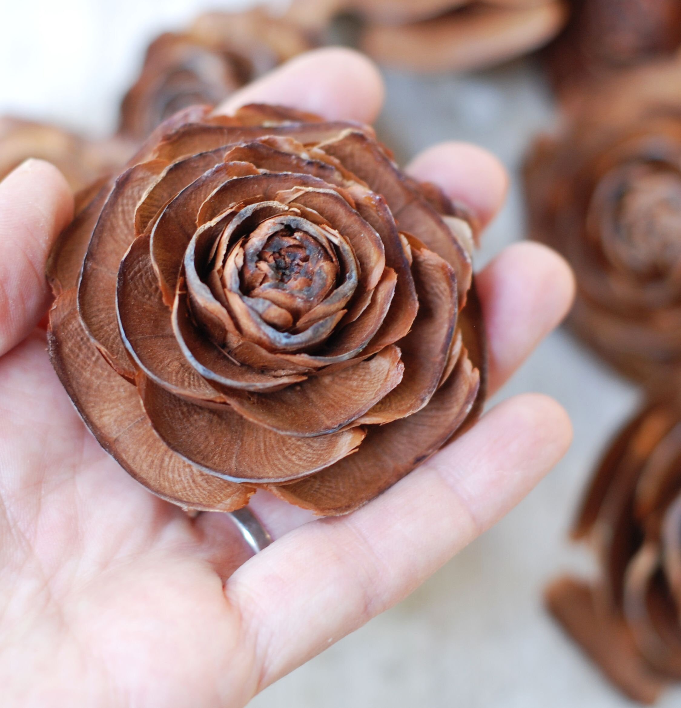 Cedar Rose About Us | Cedar Rose