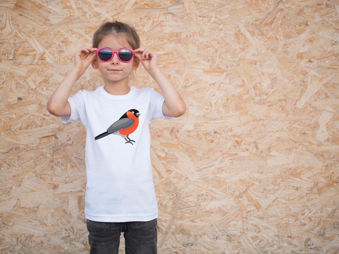 Robin Bird SVG Bundle, Robin Bird Vector, Robin Bird Design, Robin Bird ...