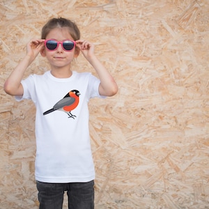Robin Bird SVG Bundle, Robin Bird Vector, Robin Bird Design, Robin Bird ...
