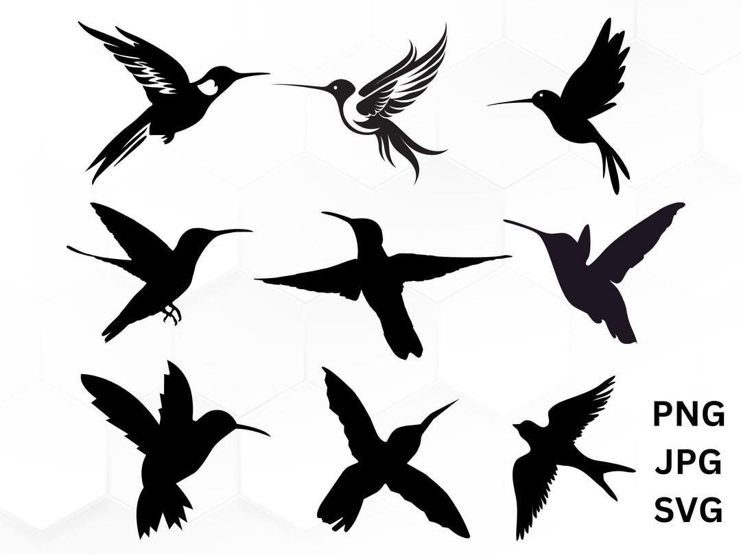 Hummingbird SVG, Hummingbird Bundle Svg, Hummingbird Clipart ...